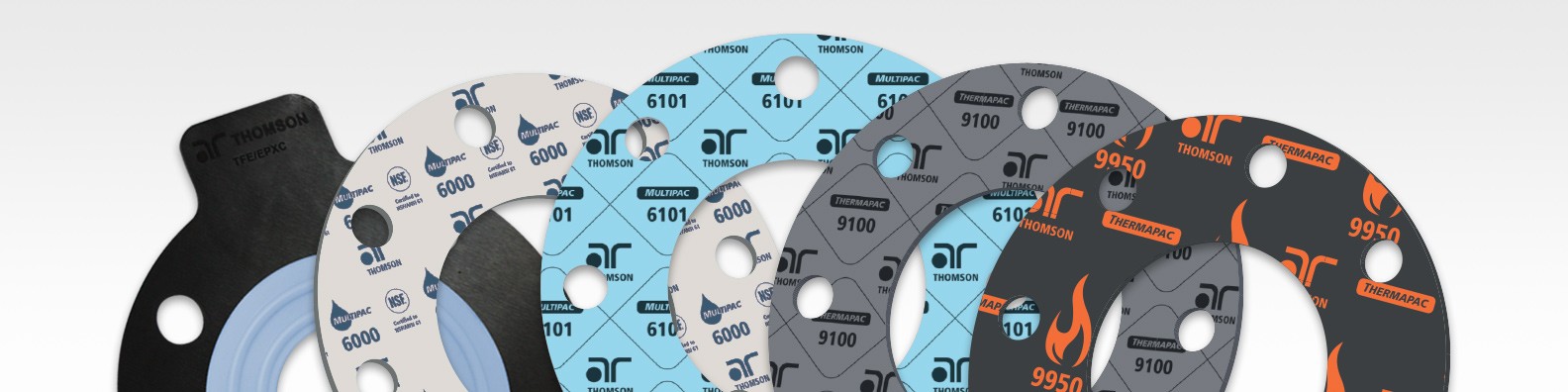 Gaskets, Mechanical Seals, Packing and More...
